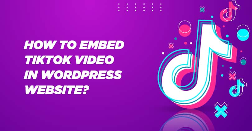4 Methods To Embed TikTok Video In WordPress HashThemes